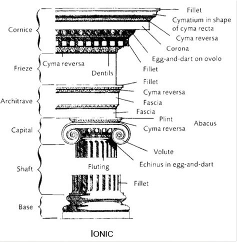 The Bell Curve Of Life Rome Colosseum History