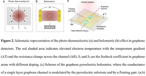 Image Sensors World Graphene Photodetectors Overview