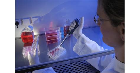 In Vitro Toxicity Testing Market Get Healthy Cagr 120 And Is Projected To Reach 59148
