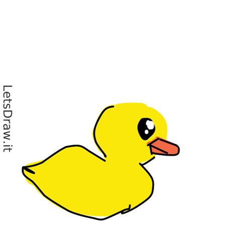 How To Draw Rubber Duck 7gn8brxdd Png LetsDrawIt