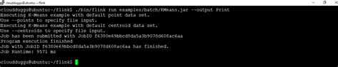 Apache Flink Machine Learning Tutorial Cloudduggu