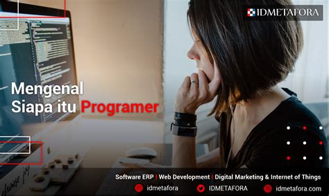 Apa Itu Programmer Pengertian Jenis Tugas Cara Menjadi Programmer IDMETAFORA ERP Developer
