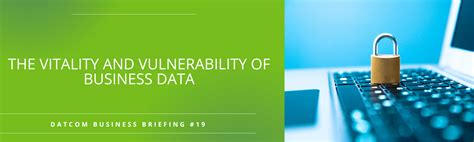 the vitality and vulnerability of business data
