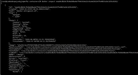 docker启动容器挂掉找不到容器了 ，容器丢失问题，docker ps a 显示不全问题 帖子搬运工 博客园