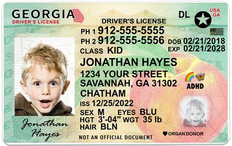 Georgia Driver License Example
