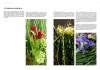 Дизайнер BOOKS :: Основы цветоведения для флористов