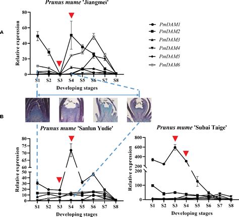 figure 2 from the collaborative mode by pmsvps and pmdams reveals