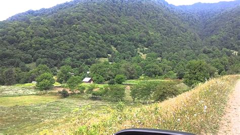 ბორჯომ ხარაგაულის ტყე პარკი სამეცხვარეო რკინის ჯვარი ქვაზვინევი სახულარი ლეღვანი ქვიანთი