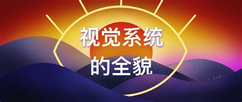 （一）视觉系统的全貌 知乎