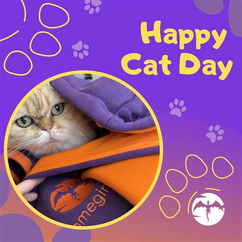 Gamegine On Linkedin Internationalcatday