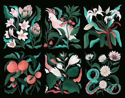 Biolage limited edition packaging | Behance