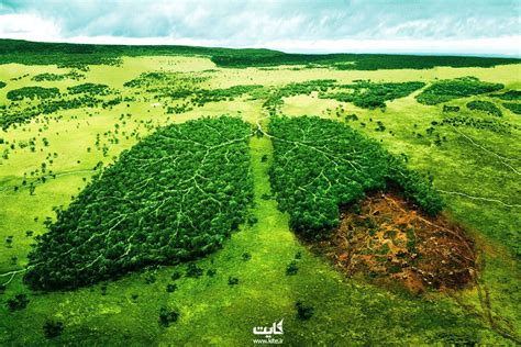 تغییرات اقلیمی چیست؟ تاثیر تغییرات اقلیمی بر ایران کایت