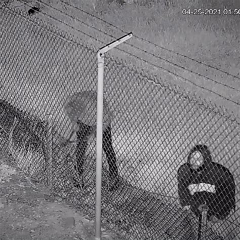 Camect Industry Leader For Video Monitoring Accuracy And Quality Ai Alerts