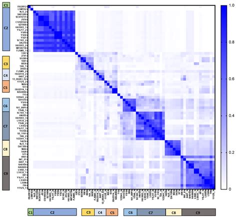 Whole Proteomic Heatmap Of The 71 Full Length S Suis Prophages Nine Download Scientific