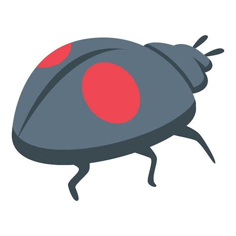 Premium Vector Ladybird Icon Isometric Vector Cute Bug Insect Beetle