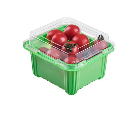 250g Green Eco Friendly Fruit Cherry Tomatoes Packaging Plastic Box