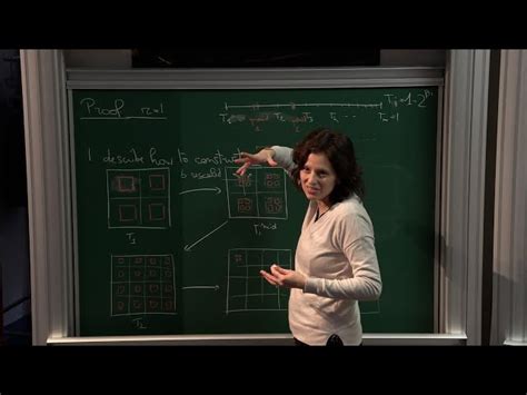 Free Video Flows Of Irregular Vector Fields In Fluid Dynamics