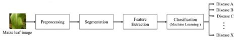 Maize Disease Image Classification Using Machine Learning 3 2 1 Download Scientific Diagram