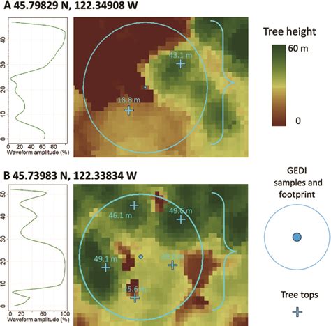 Exploring The Potential Of Gedi In Characterizing Tree Height Composition Based On Advanced