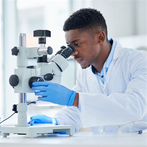 Scientech Ceramic Magnetic Stirrer Scales And Ovens Botswana