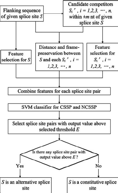 flow chart for our alternative splice site prediction method