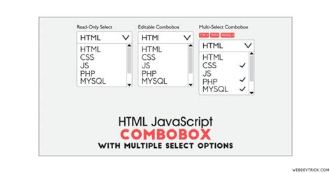 Html Combobox With Javascript And Css Combobox Types Patterns