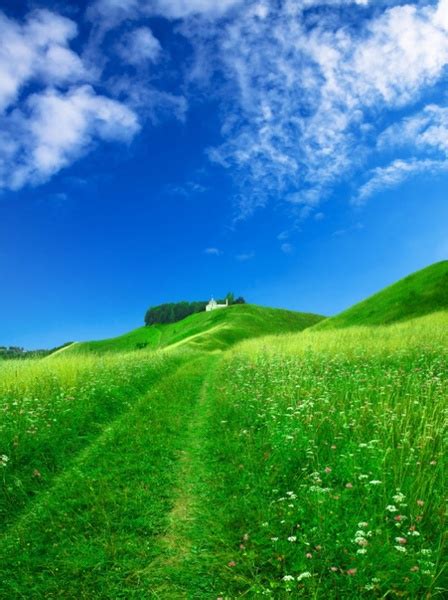 Fine Grass Blue Sky Hd Picture Photos In  Format Free And Easy Download Unlimit Id165997