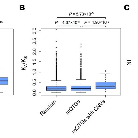 Comparison Of The Functional Divergence And The Selection Pressure In Download Scientific