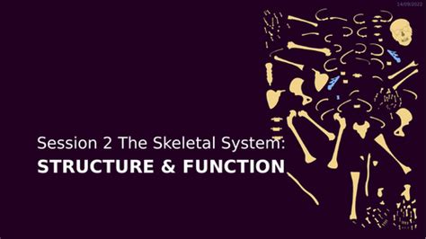 Skeleton Structure And Function Level 3 Powerpoint And Workbook
