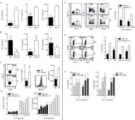 A Novel Human Stat3 Mutation Presents With Autoimmunity Involving Th17 Hyperactivation