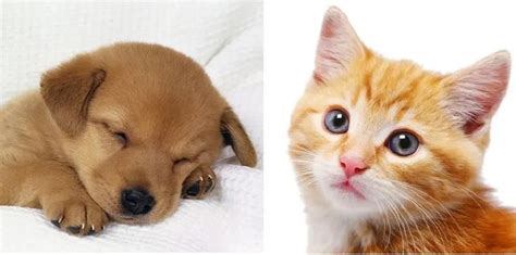 手把手程式實作分享系列 Python 技術指標工具 Talib 介紹及安裝 By Walter Chiu Bandai的機器學習筆記 Medium