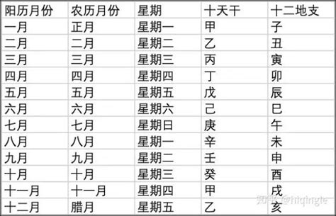 excel数据分析基础篇——数据输入