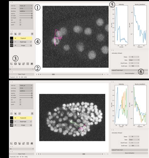 Napari Widget To View Tracks And Plot Track Information In Non Dividing