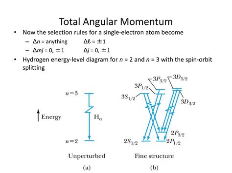 10vector Coupling Of Angular Momentumpptx