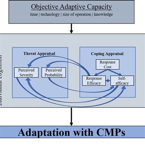 Conceptual Framework Of Drivers Of Adaptation With Cultural Management Download Scientific