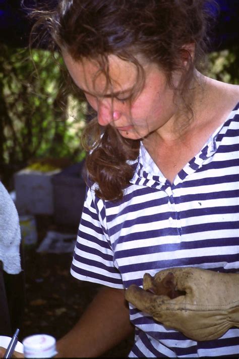 Dsc00222 Rongorongo Flickr