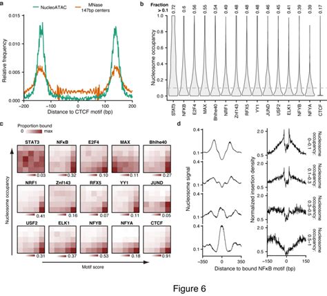Nucleoatac Defines Stereotyped Tf ­ Nucleosome Relationships A