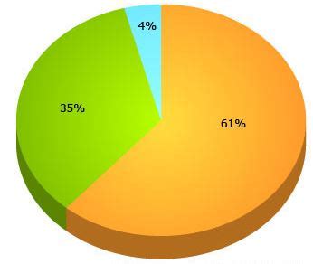 How To Generate A Pie Chart From String Values In Asp Net C Stack Overflow