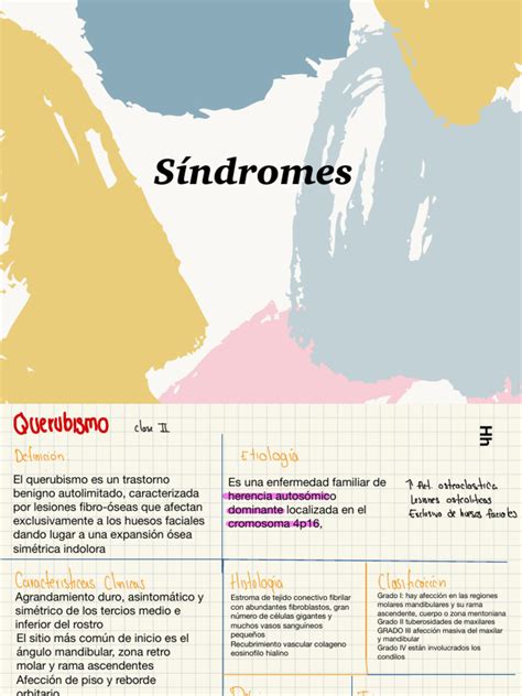 Sin Dromes Pdf Anatomía