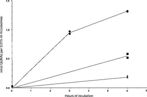 Assay Of β N Acetylglucosaminidase Activity Microsomes 0015 Ml From