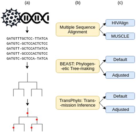 Workflow Of Data Analysis Procedures A Graphic Representation Of The