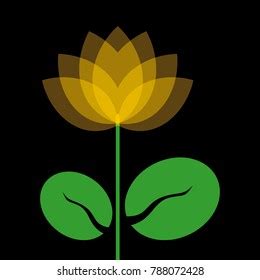 Lotus National Flower India Stock Illustration 788080705 Shutterstock