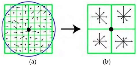 The Feature Vector Of The Sift Oct Algorithm Vector A Neighborhood Download Scientific