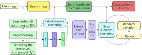 figure 1 from multifeature detection of microaneurysms based on