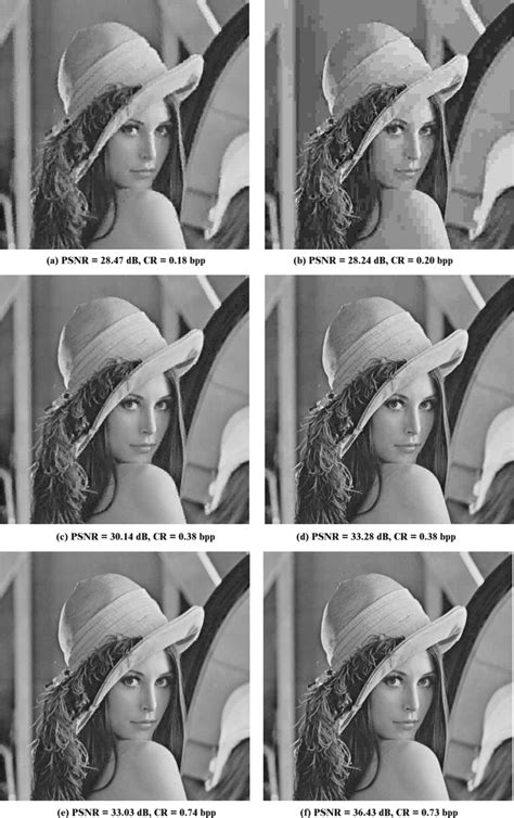 a c e compressed lena images using proposed algorithm b