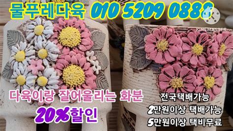 74 다육이랑 잘어울리는 화분 20할인 해드립니다 Youtube
