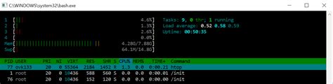 The Power Of Windows Bash Shell Code Noobz