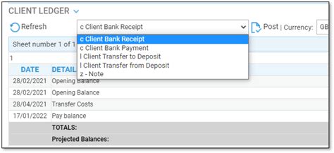 Customising Your Client Ledger With Ledger And Posting Type Views This Guide Will Show You How