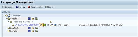 Supercharge Your SAP Basis Skills Installation Of Languages On SAP Systems