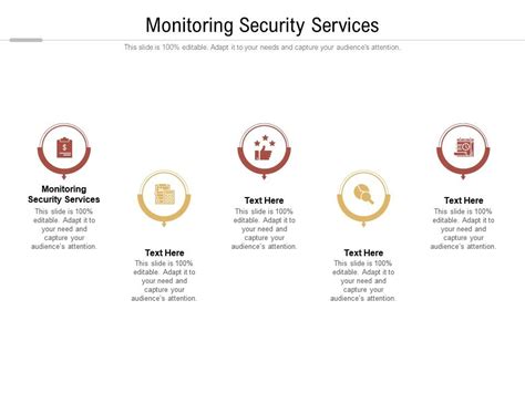 Monitoring Security Services Ppt Powerpoint Presentation Summary Slide Portrait Cpb